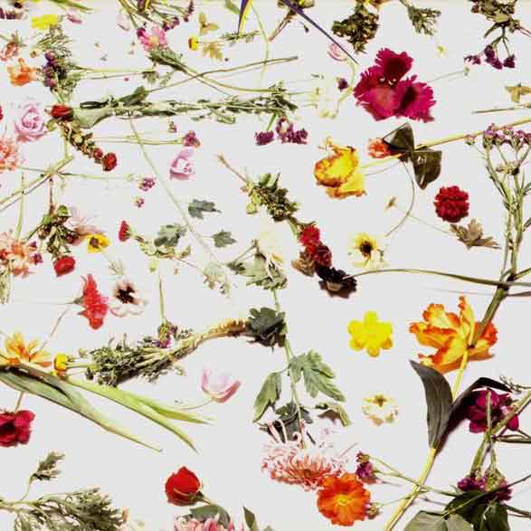 Remembering Prince: music, mischief and our epic phone fight - Robin A ...